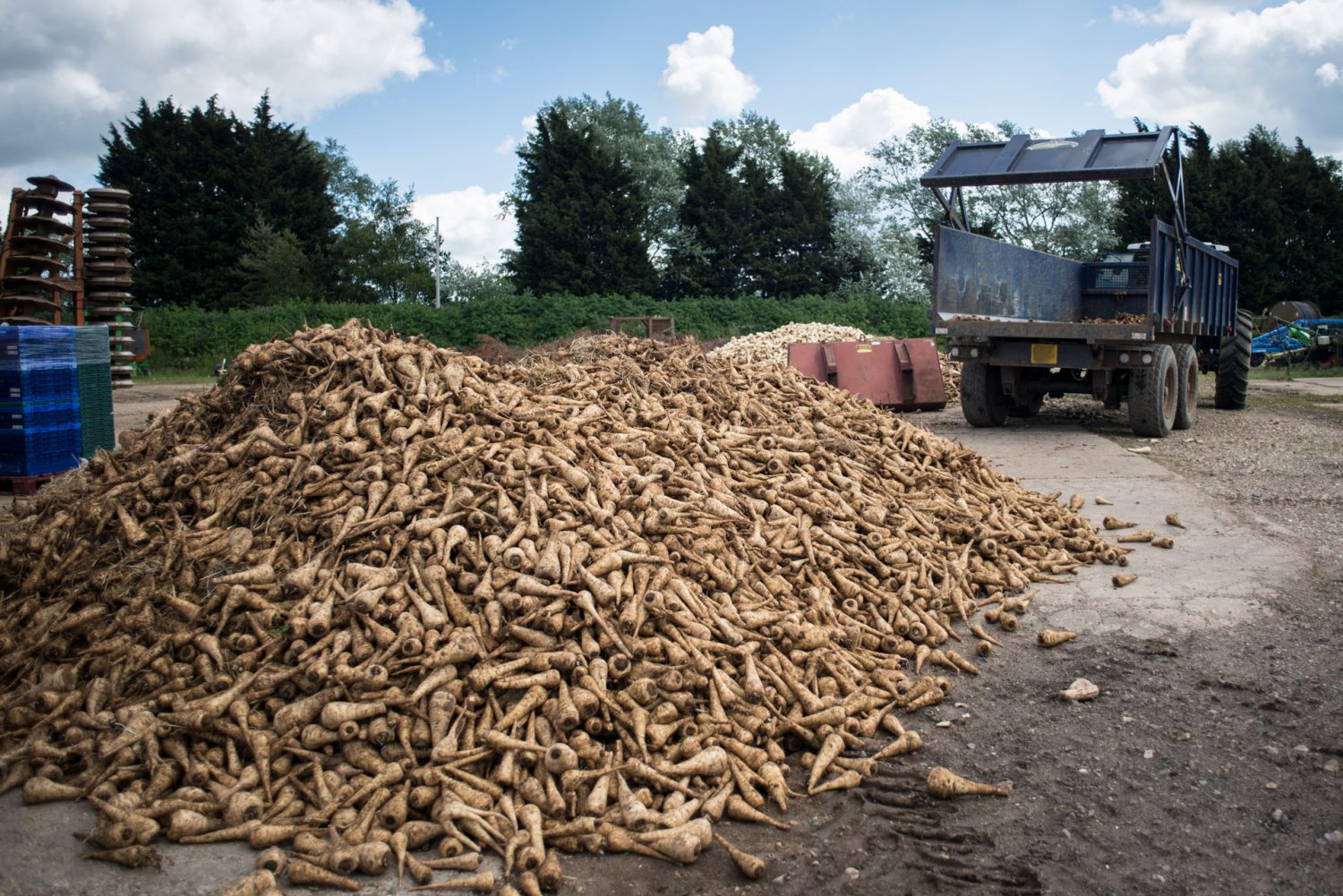 Beyond the aisles. - Documenting Food Waste